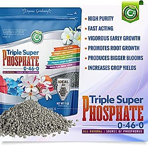 Triple Super Phosphate 0-46-0 Fertilizer Made in USA - Bloom Booster - TSP Pure Phosphorus Plant Food for Indoor/Outdoor Plants and Organic Gardens - Fruit, Vegetables, Holistic Herbs, Trees & More!
