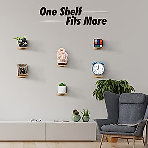 Wall Shoe Shelf - Pine Wood Shoe Display Shelf- Traditional Creations Set of 6 Wall Mount, and Adhesive Tape Installation, Floating Shoe Display Stand for Sneakersshelf
