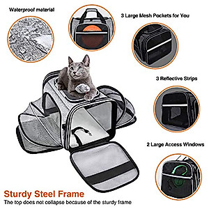 MASKEYON TSA Airline Approved Soft Sided Pet Carrier Top Loading 4 Side Expandable Large Travel Cats Carrier Collapsible with 3 Removable Washable Pads and 3 Pockets for Cats Kitten and Small Dogs