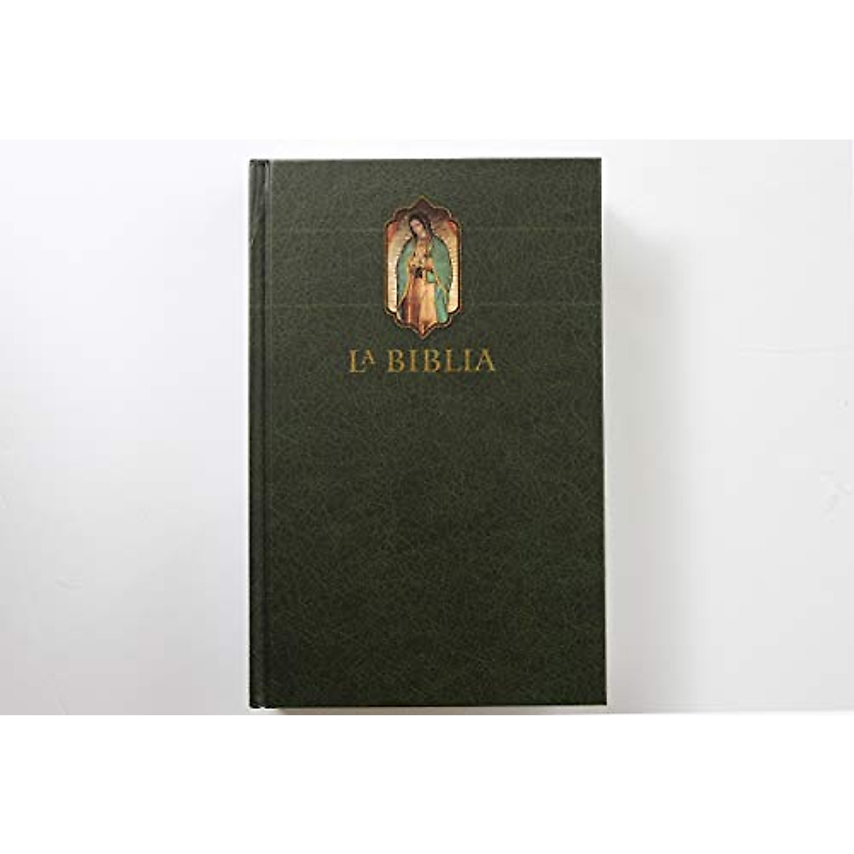 La Biblia Católica: Tamaño grande, Edición letra grande. Tapa dura, verde, con Virgen