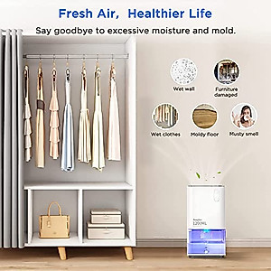 40oz Dehumidifiers for Home, EasyAcc Smart Dehumidifiers 320 sq. ft, with 7 Colorful Lights, 35dB Ultra Quiet, Auto Shut off, Dehumidifiers for Closets Bedroom Bathroom RV (Energy Saving)