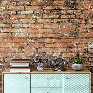 Sempoda Cute Animal Glasses Holder, Resin Funny Decorative Eyeglass Holder, Creative Koala and Cute Big Mouth Glasses Holder Stand for Home Office Desktop Decoration