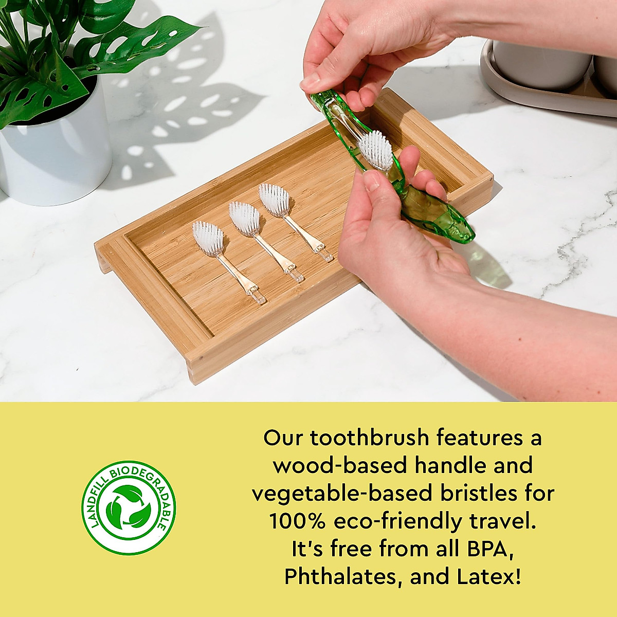 RADIUS Tour Travel Brush & Case with Replaceable Brush Head ADA Accepted Toothbrush Improve Gum Health - Assorted Colors - Pack of 6