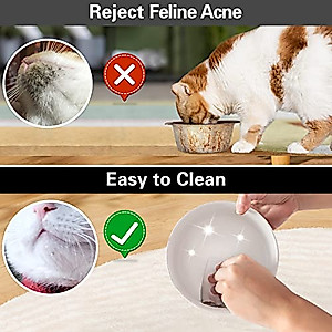 Ihoming Cat Bowls, Puppy Ceramic Food and Water Bowls Set, 1 3/4 Cups X 2, Indoors White Pet Bowls with Wood Stand