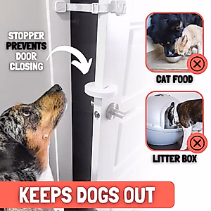 Door Buddy Cat Door Latch & Cat Door Stopper. Adjustable Door Strap for Cats to Dog Proof & Keep Dog Out of Litter Box & Cat Feeder. Simpler Pet & Cat Gate Alternative. No Cut Cat Door Interior Door