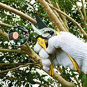 Mifuse 6.5" Professional Small Bypass Pruning Shears with Non-Stick Blade and Aluminium Handle,Heavy Duty Garden Clippers, High Performance Hand Pruner Razor Sharp Secateurs 3/4-inch Cut.