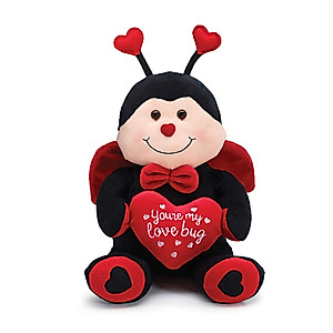 Valentine's Day Ladybug