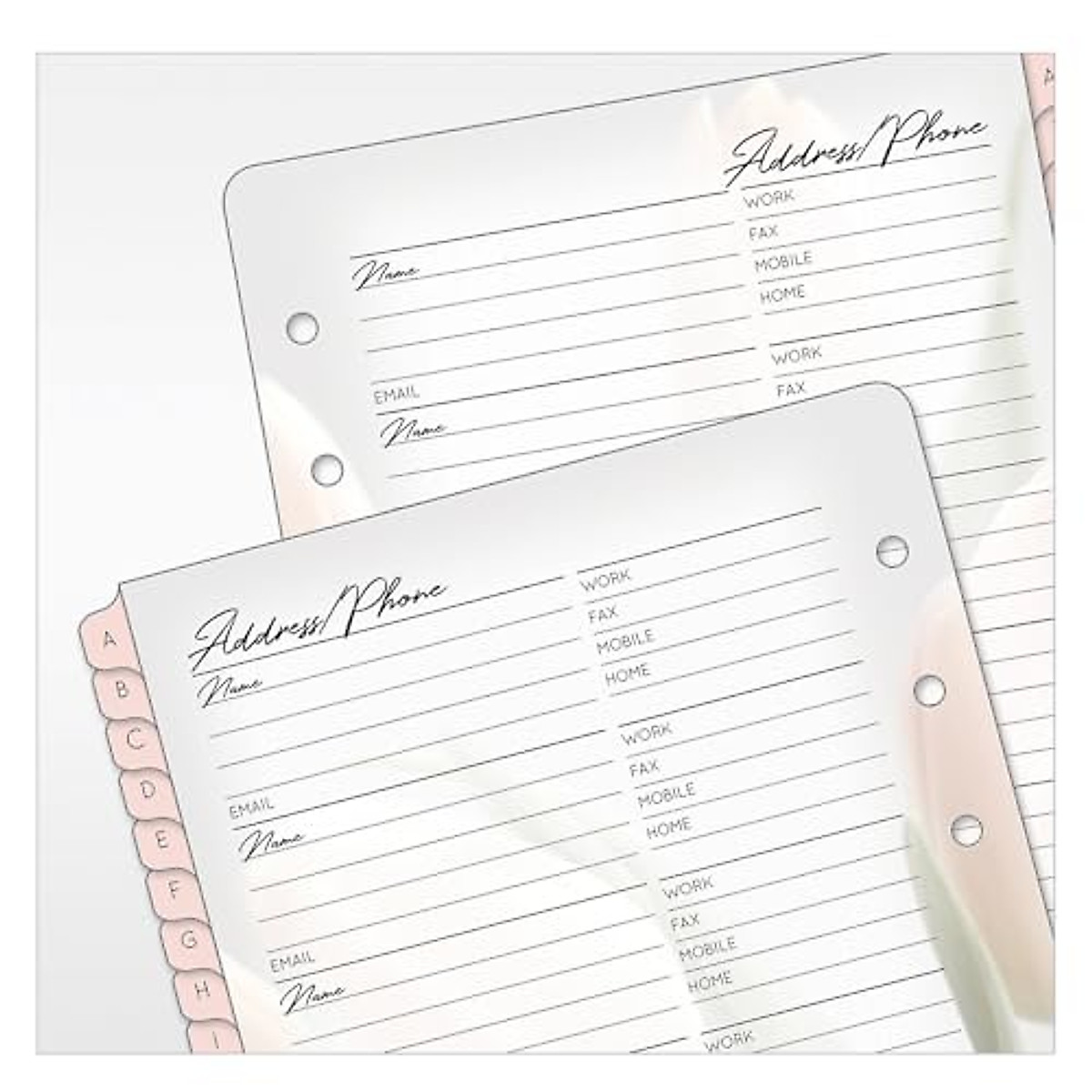 FranklinCovey - Blooms Address/Phone Tabs - Expansion for Planners (Compact, Pink/Green)
