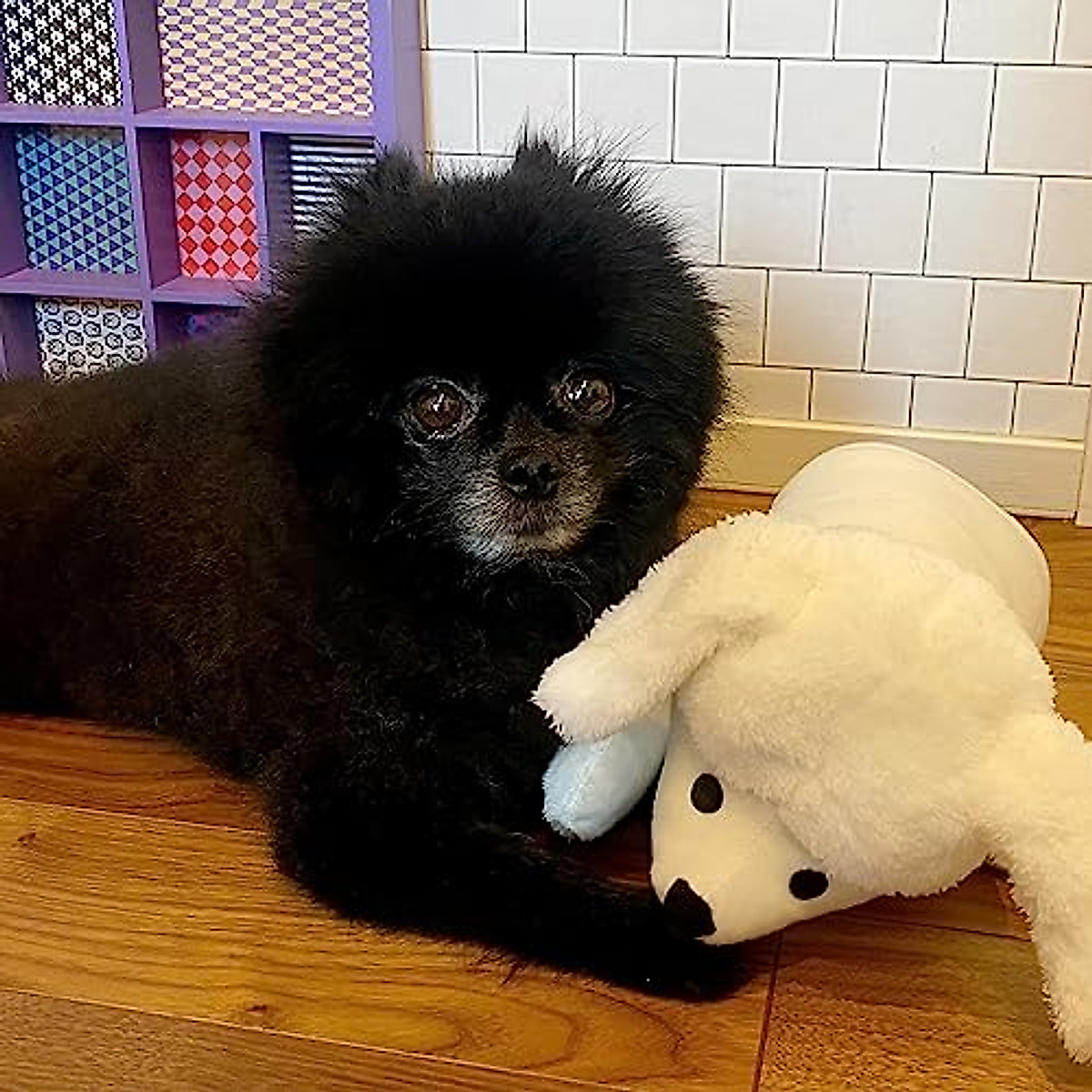 BONBI ALCON Animal Mitten Love Dog Dachshund, Plush Dog Chew Toy, with Whistle