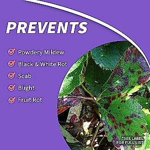 Bonide 2021 Fruit Tree/Plant Guard Concentrate, Pint - Quantity 1