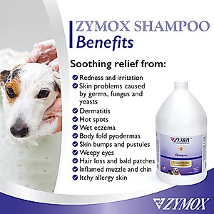 Zymox Anti-Itch Shampoo for Dogs and Cats, 1 gal
