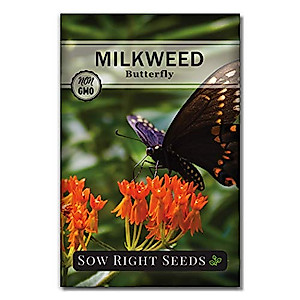 Sow Right Seeds - Milkweed Seed Collection; Varieties Included: Butterfly, Common, and Showy Milkweed, Attracts Monarch and Other Butterflies to Your Garden; Non-GMO Heirloom Seeds;