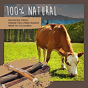 Mighty Paw Naturals Bully Sticks | All-Natural Protein-Rich Dog Chews from Grass-Fed Beef. Single-Ingredient Pet Treat for Dental Health. Keeps Chewers Busy