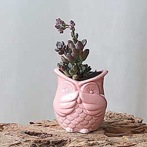 YONGYAN Owl Flower Pot Statue Decoration Ceramics Garden Planters Containers Pot Bookshelf Office Desktop Decor (Pink)