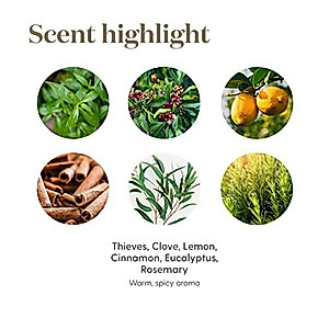 Thieves Household Cleaner by Young Living, 14.4 Fluid Ounces