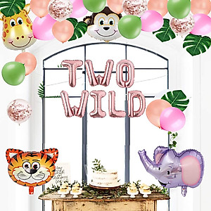 Two Wild Birthday Party Decorations, Jungle Themed Secend Girl Birthday Party Supplies Set Cute Animals Head Balloons and Two Wild Banner Caketoppers for Girls 2nd Jungle Birthday Decor