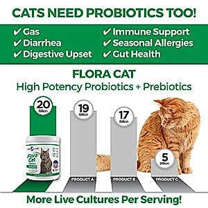 Vital Planet - Flora Cat Probiotic Powder Supplement with 20 Billion Cultures and 10 Diverse Strains High Potency Probiotics for All Cats for Feline Digestive and Immune Support 30 Scoops 3.92 oz