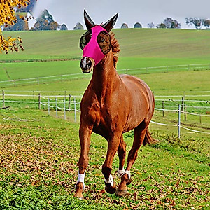 2 Pieces Horse Fly Mask Horse Mask with Ears Smooth and Elasticity Fly Mask with UV Protection (L, Purple, Pink)