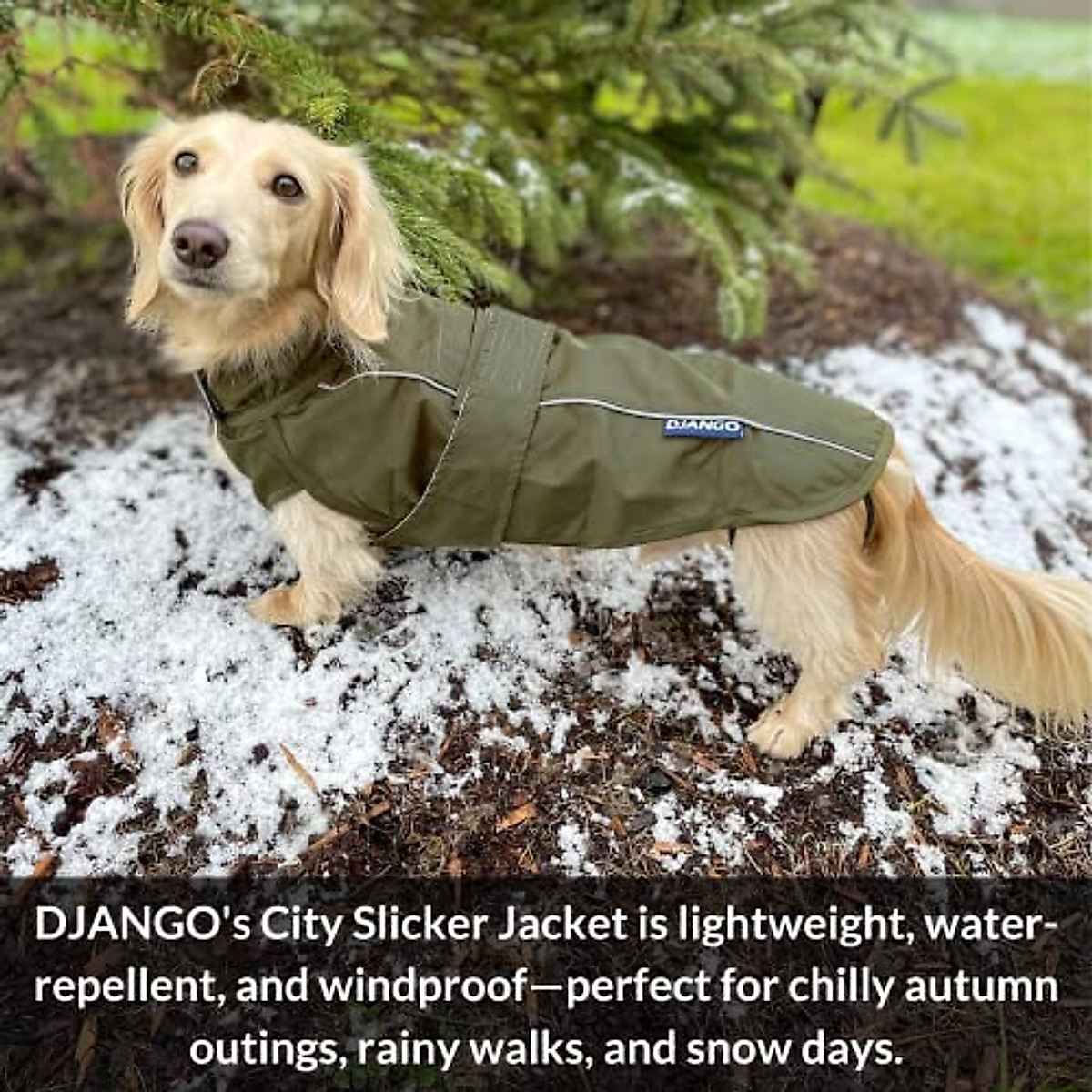 DJANGO City Slicker All-Weather Dog Jacket & Water-Repellent Raincoat with Reflective Piping (Medium, Kombu Green)