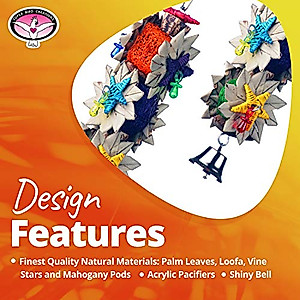 Super Bird Creations SB1098 Palm Star Bird Toy, Medium Bird Size, 13" x 3.5" x 3.5"