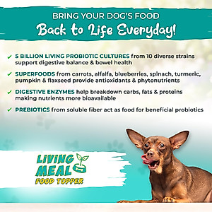 Vital Planet - Pet Living Meal Dog Powder with Enzymes Superfoods and Probiotics 111 g 30 Servings