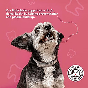 BFF Bully Sticks 6 inch (10 Count) - Long Lasting Dog Treats - Natural No-Hide Grain-Free Gluten-Free Dog Chews - Low Odor Bully Sticks - Thick Bully Sticks for Small and Medium Dogs