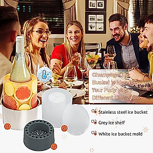 Ice Bucket Mold,Ice Mold Wine Bottle Chiller,Champagne Bucket Ice Mold, Flower/Fruits/Any Decoration to DIY Your Champagne Bucket Ice Mold For Special Parties/Bar/Holiday/Wedding,Beautiful & Creative