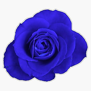 Blue Rose Twin Peaks: Fire Walk with Me Bumper Sticker Vinyl Decal 5"