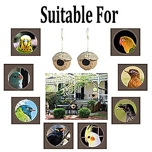 PINVNBY Natural Coconut Bird Hide Nest Hut House Coconut Shell Breeding Bird Nest Coconut Fiber Hanging Birdhouse Cage Habitats Decor for Pet Parrot Budgies Parakeet Lovebird Finch Canary(2 Packs)
