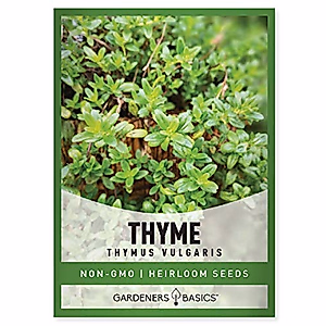 Thyme Seeds for Planting is A Heirloom, Non-GMO Herb Variety- Thymus Vulgaris Herb Seeds Great for Indoor and Outdoor Gardening by Gardeners Basics