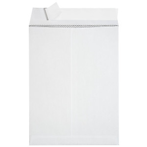100 9 X 12 Self Seal Security Catalog Envelopes - Designed for Secure Mailing - Securely Holds up to 60 Sheets of Paper with Strong Peel and Seal Flap (100 Envelopes)