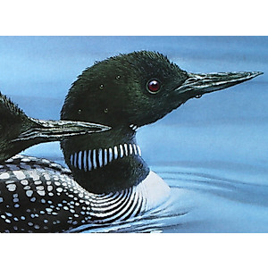 Loons Loon pair Artist Proof Signed Limited Edition Print from an original painting by Lawrence Dyer Signed Wildlife Bird Art Gift 19" x 13"