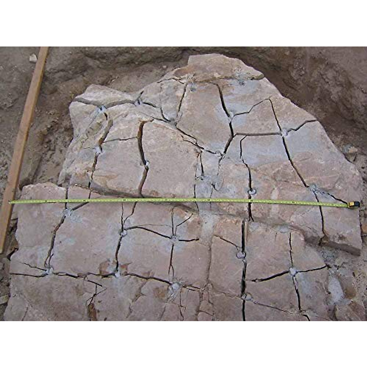 Dexpan Expansive Demolition Grout 11 Lb. Bucket for Rock Breaking, Concrete Cutting, Excavating. Alternative to Demolition Jack Hammer Breaker, Jackhammer, Concrete Saw, Rock Drill (Type 2, 50-77° F)