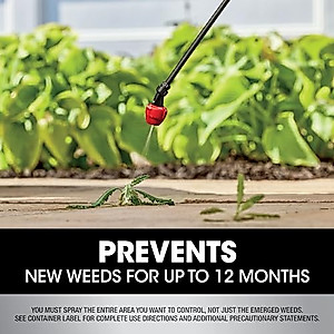 Roundup Dual Action 365 Weed & Grass Killer Plus 12 Month Preventer Concentrate, Kills & Prevents for up to 1 Year, 32 fl.oz.