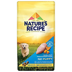 Nature′s Recipe Dry Puppy Food, Grain Free Puppy Chicken, Sweet Potato & Pumpkin Recipe, 4 lb. Bag