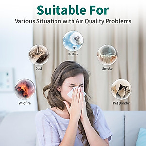 [4-Pack] SAKEGDY KJ80 Replacement Filter - Compatible with Druiap KJ80 Air Clean Purifier - 3-IN-1 Filtration System with H13 True HEPA - Part# AF3080 - [Not Compatible with KJ150 Model Purifier]