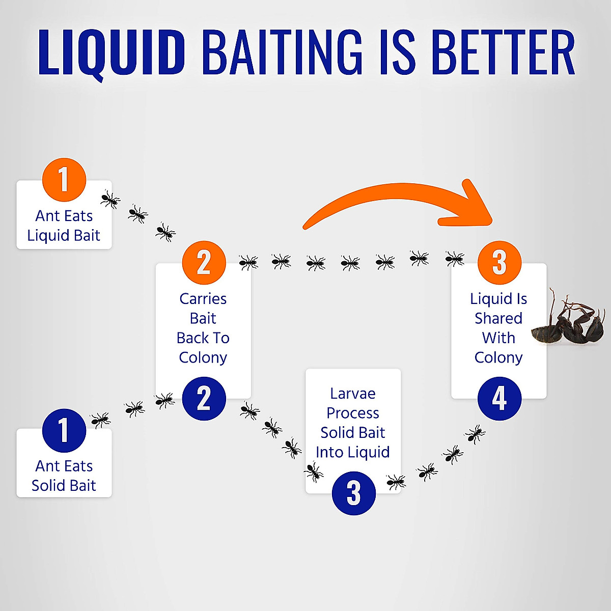 Terro T100-12 Liquid Ant Killer II, 1 oz, Pack of 1