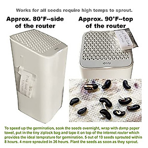 Pole Bean Seeds for Planting Vegetables and Fruits-Chinese Yard Long Beans 豇豆. Non GMO Heirloom Seeds for Home Vegetable Garden-6g(30ct+) Veggie Seeds Oriental Yard Long Bean Seeds