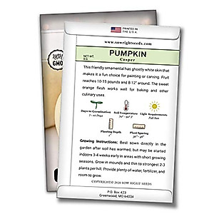 Sow Right Seeds - Casper Pumpkin Seed for Planting - Non-GMO Heirloom Packets with Instructions to Plant a Home Vegetable Garden (2)