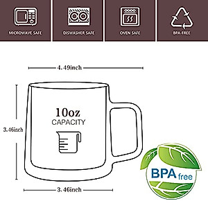 CNGLASS 10oz Glass Coffee Mugs,Double Wall Insulated Glass Mugs with Handle,Clear Espresso Mugs for Latte,Cappuccino,Tea Bag,Set of 2