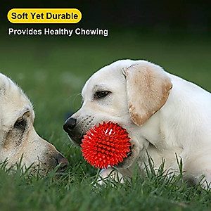 VITEVER 3.5” Squeaky Dog Toy Balls (6 Colors) Puppy Chew Toys for Teething, BPA Free Non-Toxic, Spikey Dog Balls for Medium, Large & Small Dogs, Durable Dog Toys for Aggressive Chewers