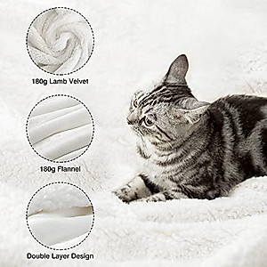 Healing Blanket, Positive Inspirational Thoughts Sherpa Blanket with Scripture Bible Verse Soft Throw Blanket -Christian Gifts for Women 50x60 Inch