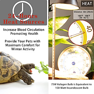 ExoRepti Reptile Heat Lamp Bulb Greenhouse Warming Bulb Reptile Light for Lizard, Turtle, Bearded Dragon, Hedgehogs, Snake Amphibians, Chicks, With 2 Bulb Beads (75 Watt). New Replaceable Bulbs Design