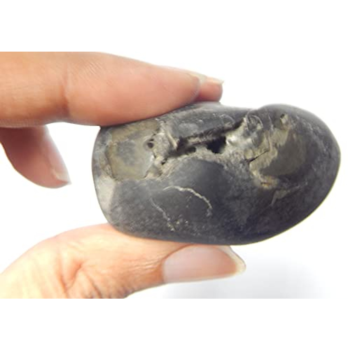 phoenix888 Surya Laxmi Maha Vishnu Buddha Dev Shaligram