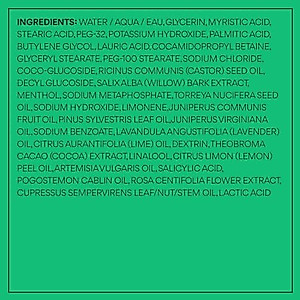 innisfree Bija Clarifying Cleansing Foam with Salicylic Acid and Castor Seed Oil, Korean Face Wash, Sulfate Free