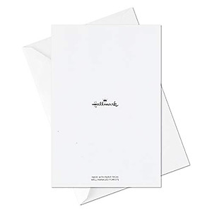 Hallmark Boxed Christmas Cards Assortment, Rustic Holidays (6 Designs, 24 Cards with Envelopes)