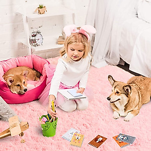 ISEAU Fluffy Rug Carpets Soft Shaggy Area Rug Indoor Floor Rugs for Kids Room Fuzzy Carpet Comfy Cute Nursery Rug Bedside Rug for Boys Girls Bedroom Living Room Home Decor Mat, 3ft x 5ft, Pink