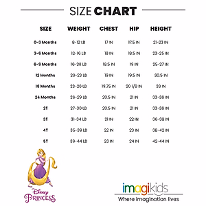 Disney Princess Rapunzel Jasmine Aurora Toddler Girls Fleece Sweatshirt and Pants Set Purple 5T