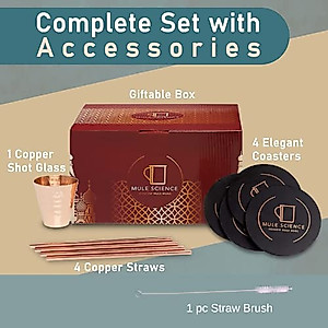 Advanced Mixology [Gift Set] Mule Science Moscow Mule Mugs Set of 4 (19 oz. large size) | 100% Handcrafted | Food Safe | Copper Mugs w/Accessories | Tarnish Resistant Copper Cups