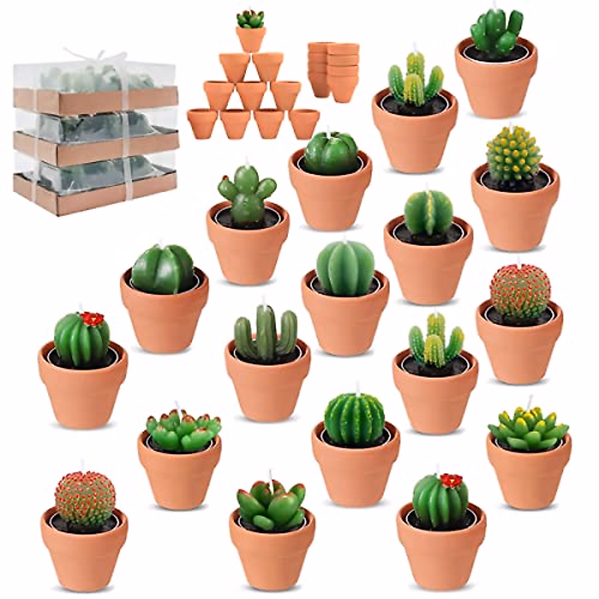 18pcs Cactus Tealight Candles Tea Party Decorations Succulent Baby Shower Fiesta Party Favors Home Decor Plant Gifts T Light Candles in Bulk